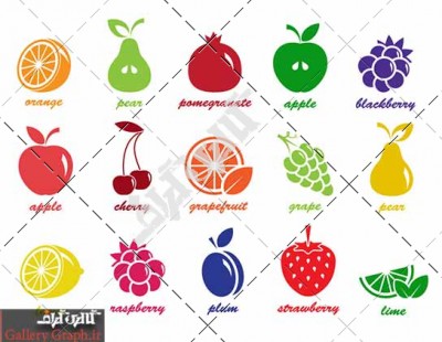 وکتور مجموعه میوه ها