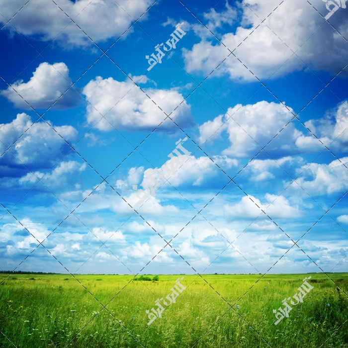 عکس پس زمینه دشت سبز و آسمان آبی