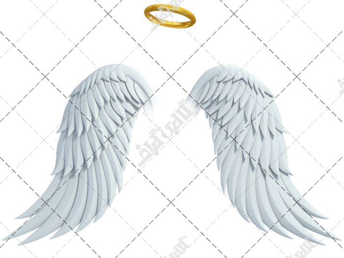 بال فرشته در پس زمینه سفید